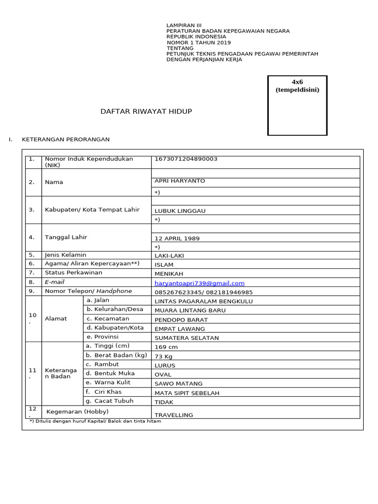 Contoh Daftar Riwayat Hidup DRH P3K 2024 | PDF