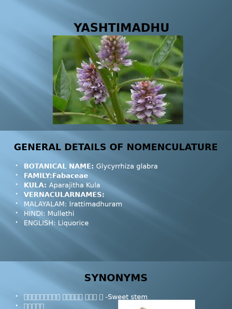 Yashtimadhu: Uses and Nomenclature | PDF