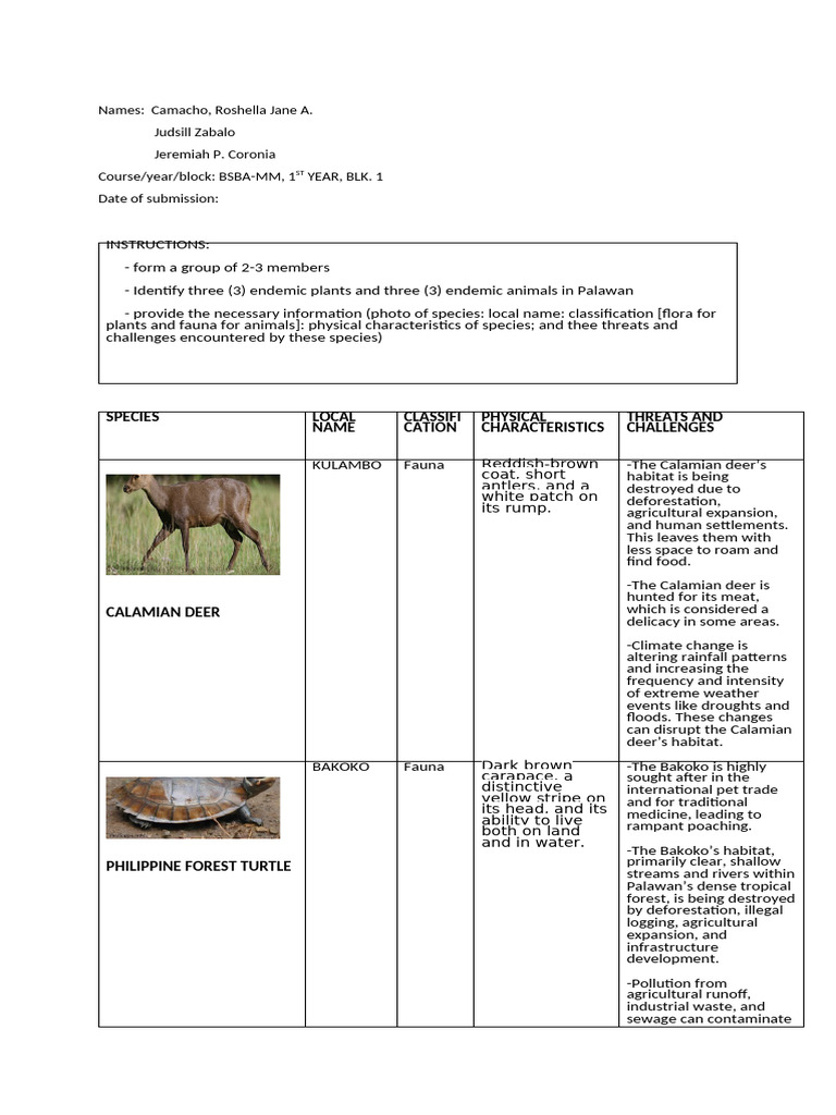 Palawan Studies | PDF | Peafowl | Flowers