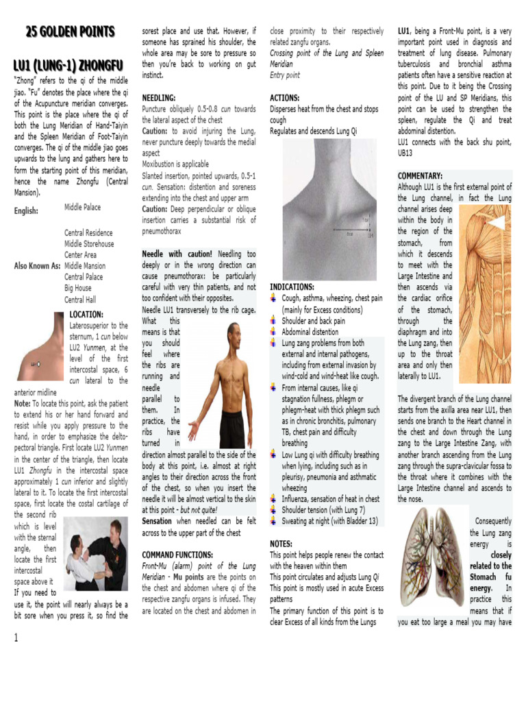 The 25 Powerful Acupoints | PDF | Thorax | Acupuncture