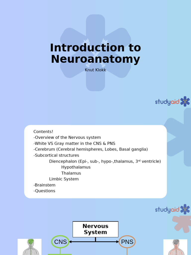 Neuroanatomy Basics: CNS & PNS Guide | PDF | Central Nervous System | Cerebrum