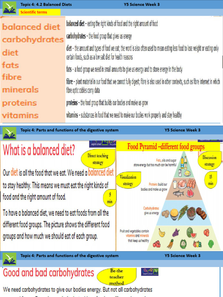 Y5 Week 3 Science Weekly Summary (2) | PDF