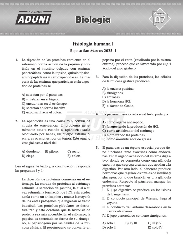 BI RSM Sem07 | PDF | Corazón | Pulmón