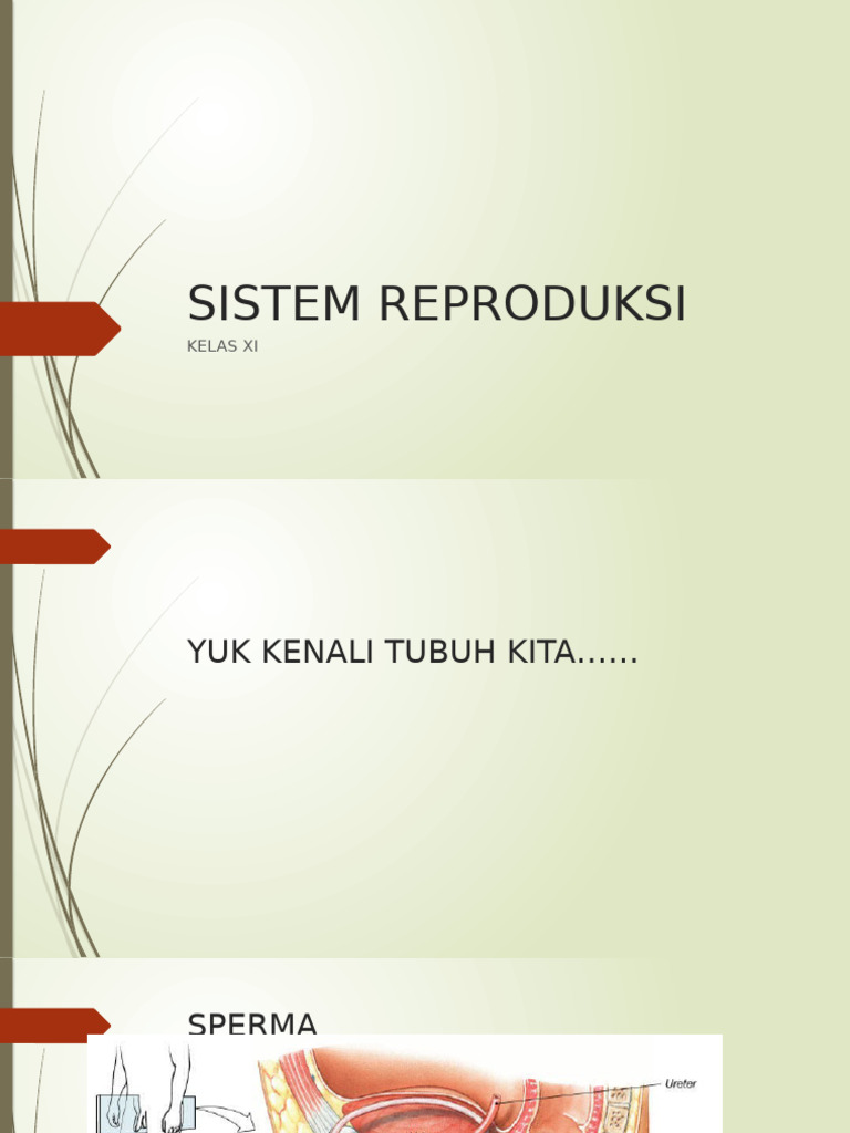 Sistem Reproduksi Kelas Xi | PDF