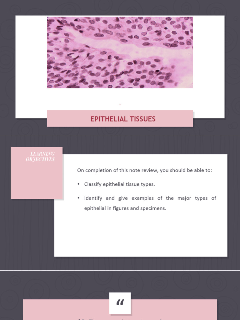 Week 4 Laboratory Activity 1 | PDF | Epithelium | Animal Anatomy