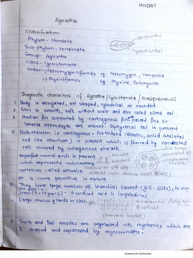 Agnatha Note 2nd Year TC 2020 | PDF