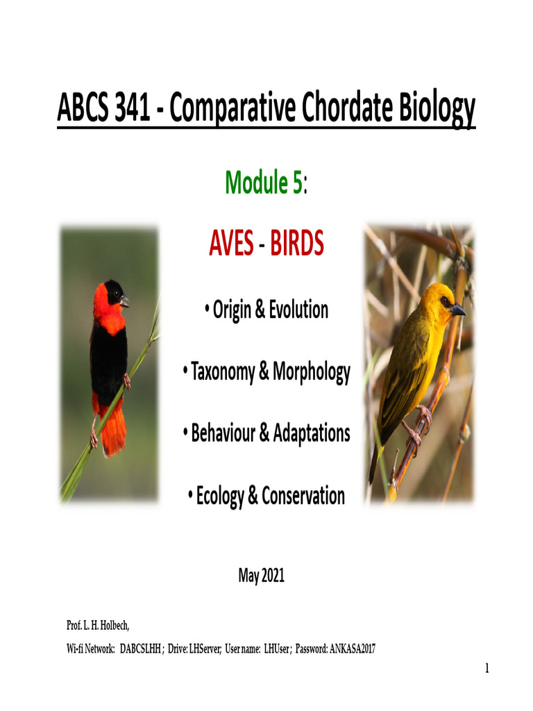 ABCS 341 - Birds - 13-05-2021-1 | PDF | Birds | Seabird
