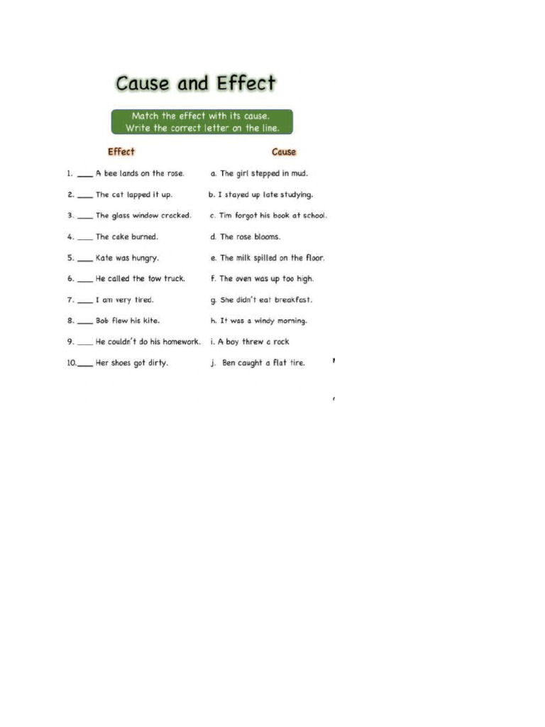 cause and effect | PDF