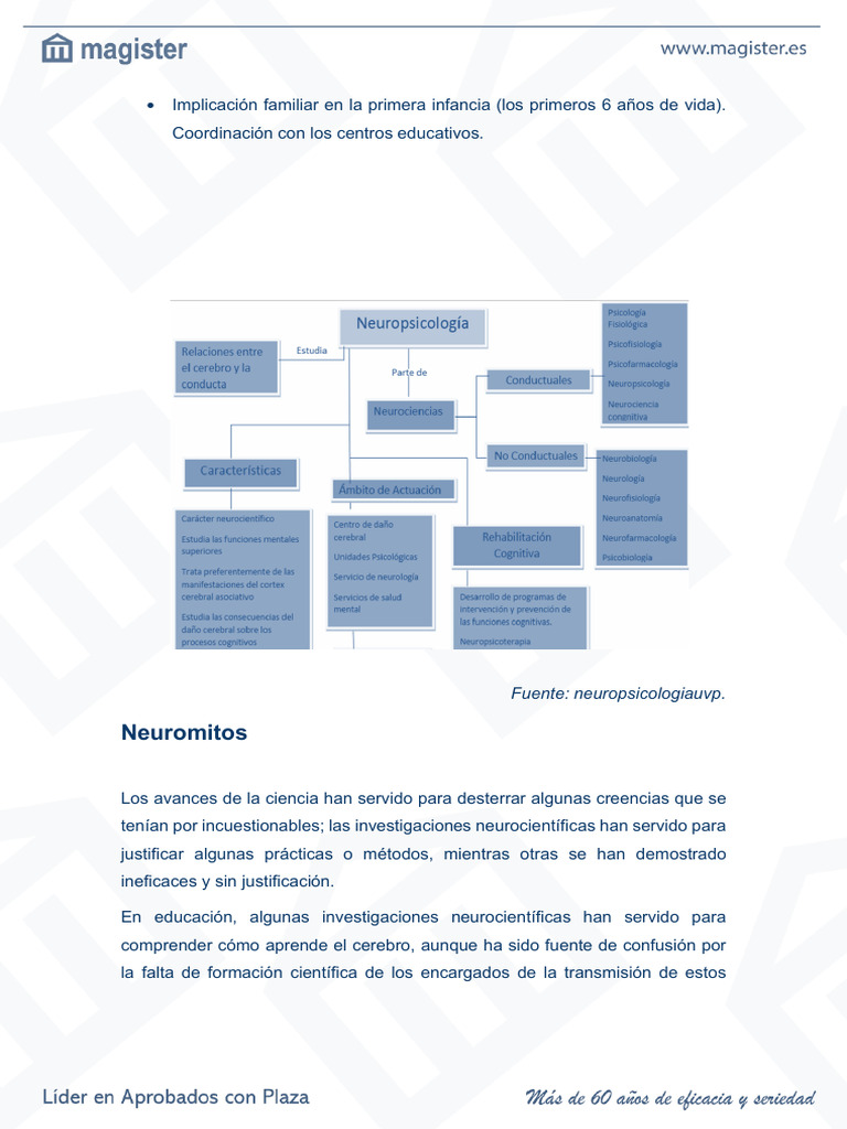 Neuromitos en la Educación Infantil | PDF | Cerebro | Neurona