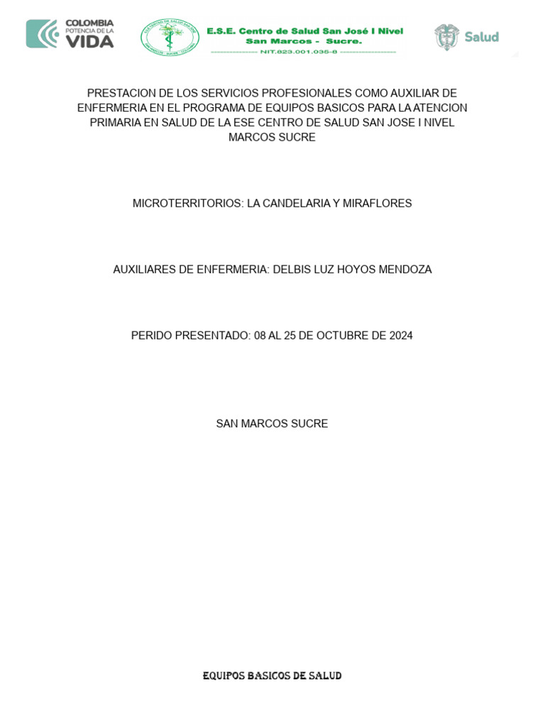 Informe Delbis Auxiliar de Enfermeria - Equipos Basicos | PDF | Cuidado ...