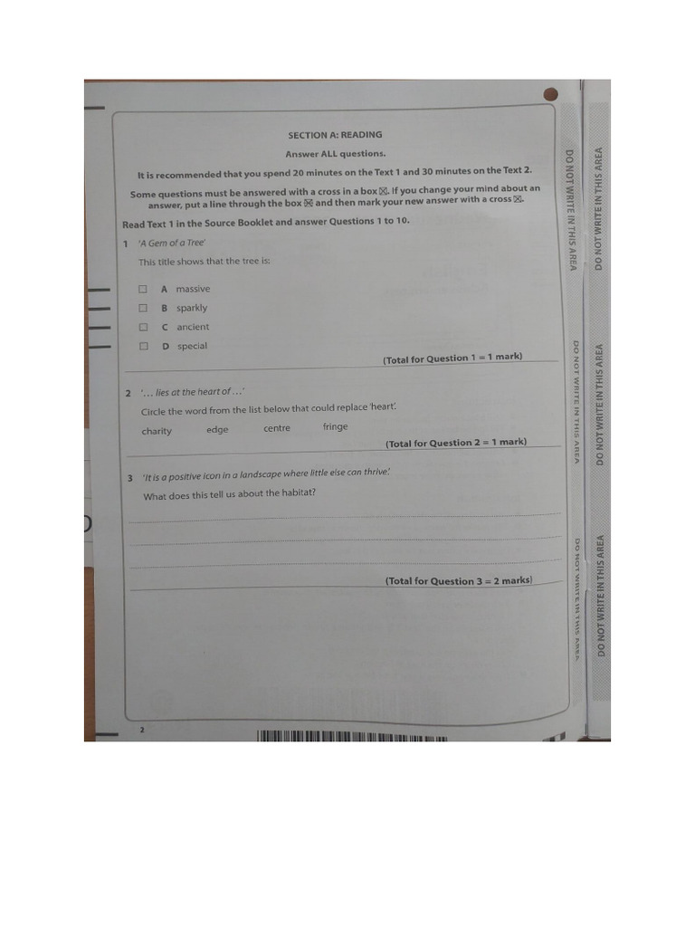 Eng Primary Today | PDF