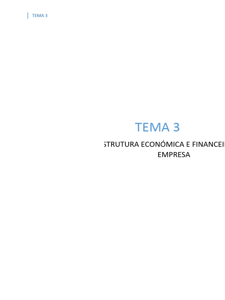Tema 3. Teoría. Xefe | PDF