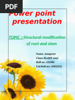 Plant Part Modifications Explained | PDF | Leaf | Root