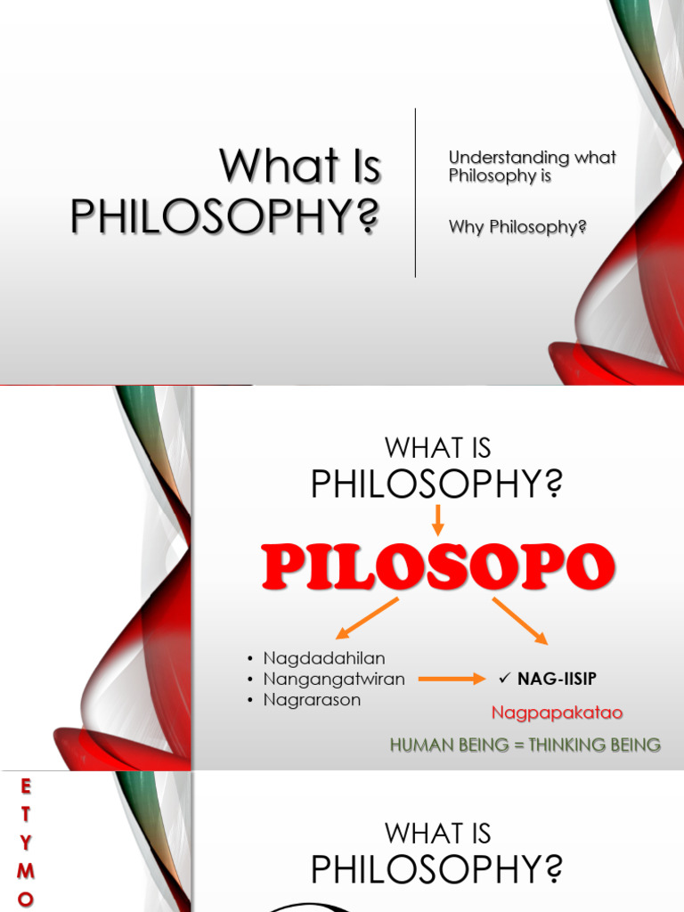 01 WHAT IS PHILOSOPHY | PDF | Mind | Critical Thinking
