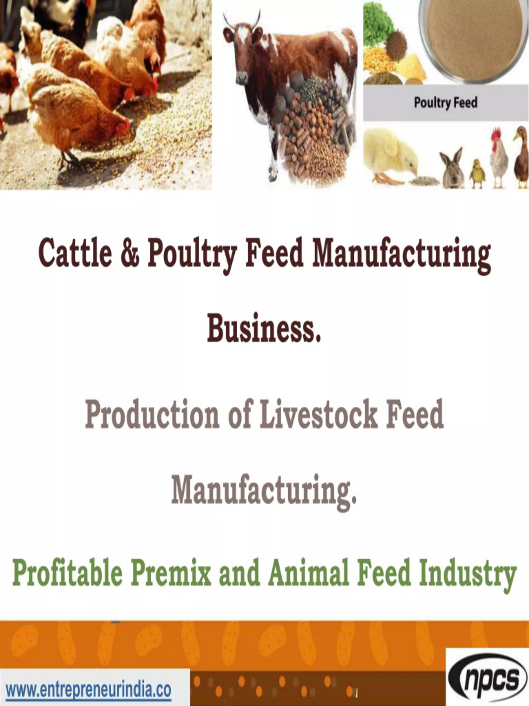 cattle and poultry feed manufacturing process | PDF