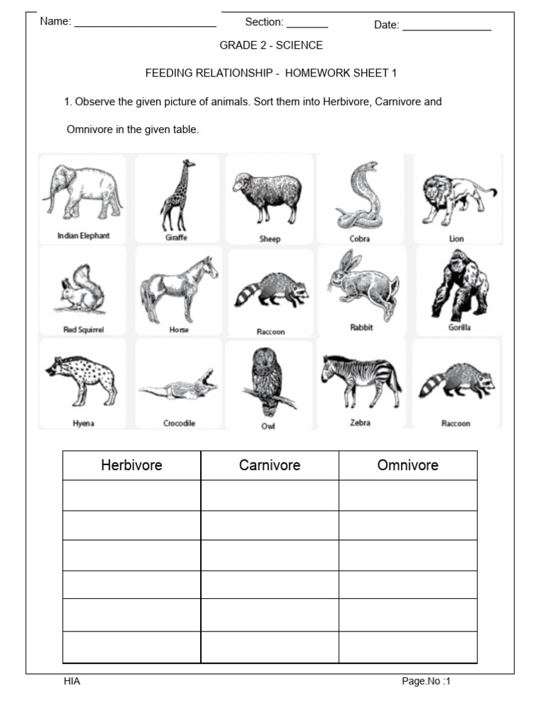 Feeding Relationship - HW Sheet 1 | PDF | Herbivore | Foods