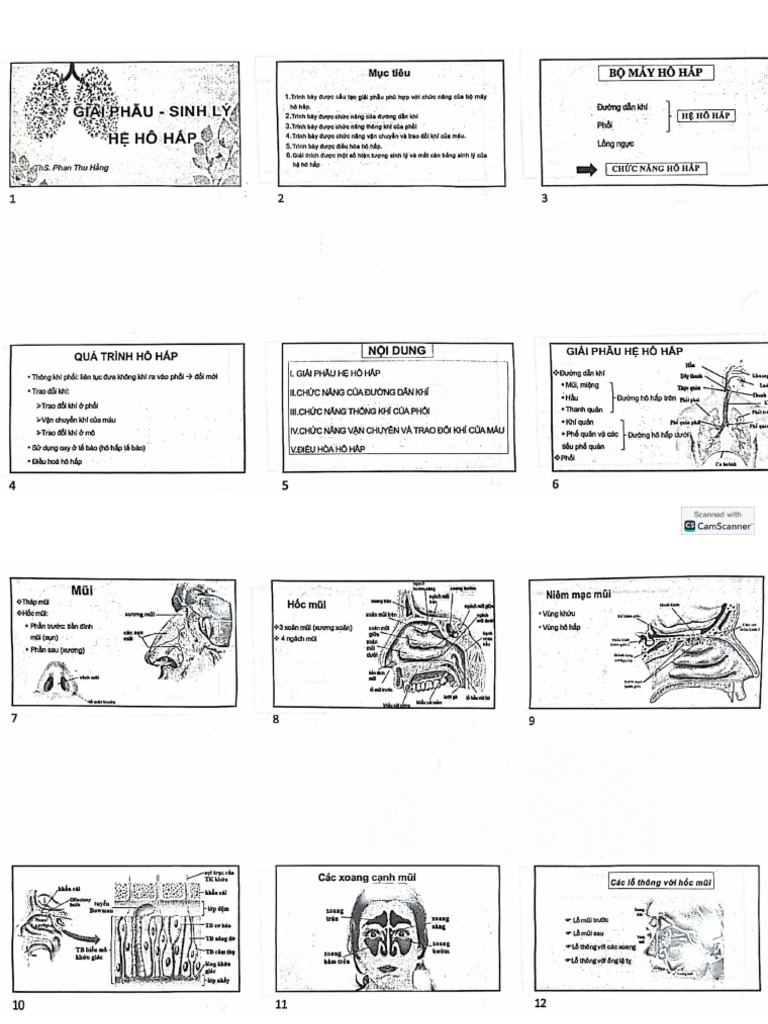 GPSL Hệ Hô Hấp | PDF