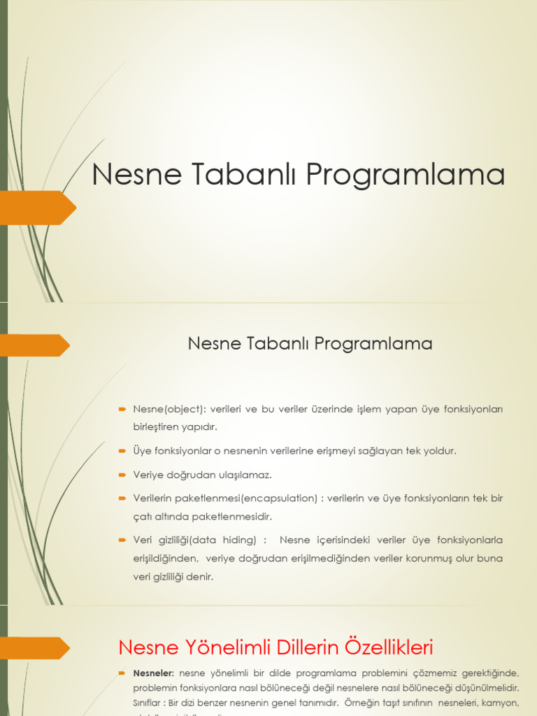 Nesne Tabanlı Programlama | PDF
