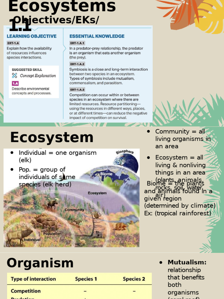 Ecosystem Interactions & Biomes | PDF | Eutrophication | Primary Production