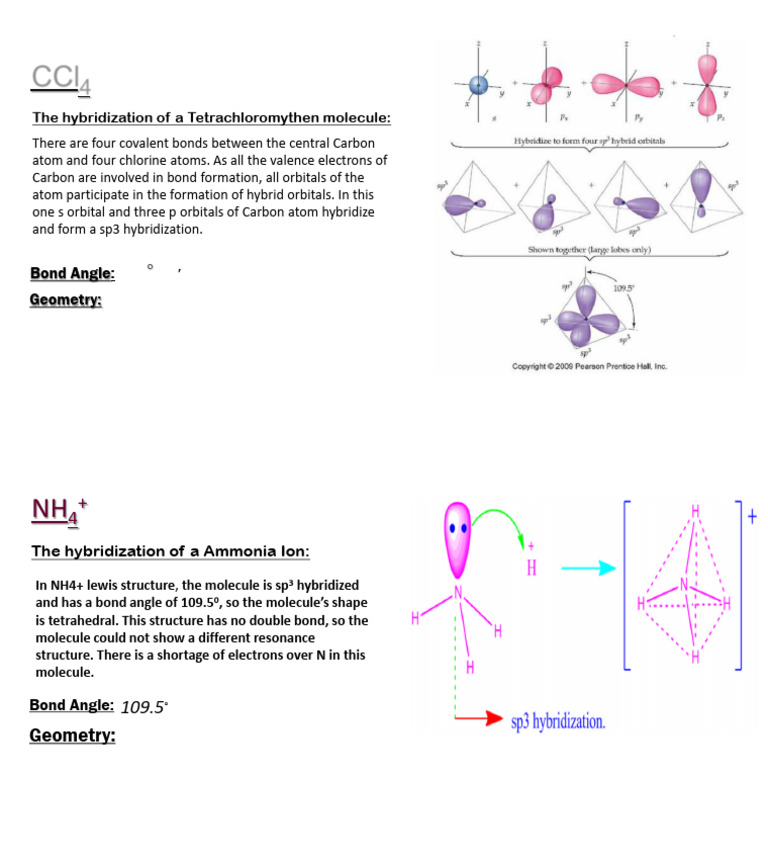 Hybridisation | PDF