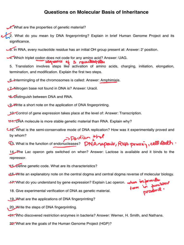 Questions On Molecular Basis of Inheritance | PDF