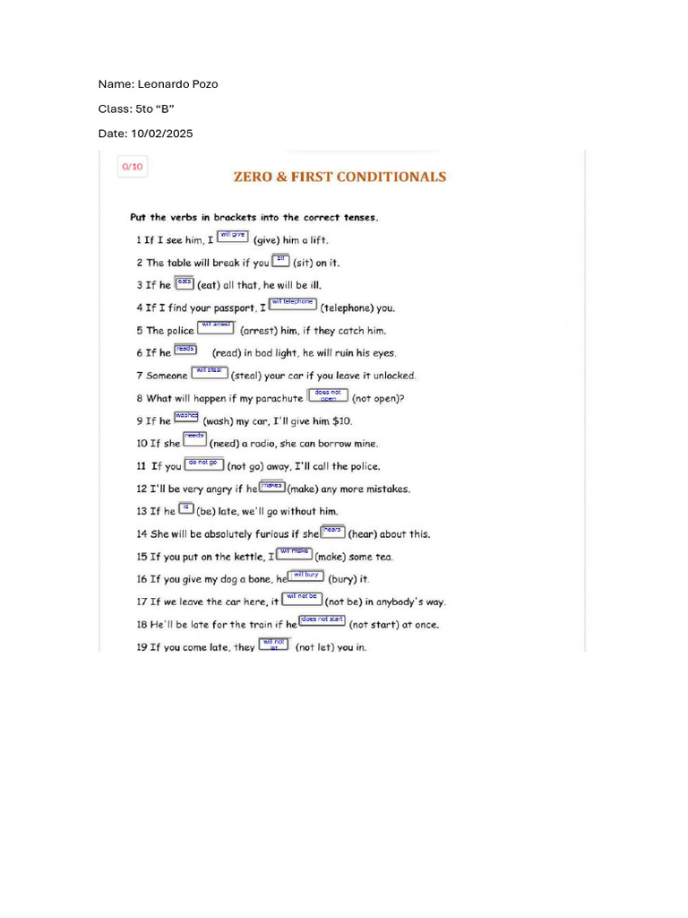 Zero and First Conditional | PDF