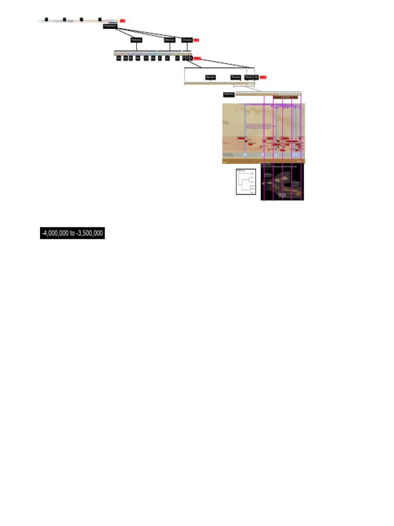 Evolutionary Timeline Overview | PDF | Paleolithic | Geologic Time Scale