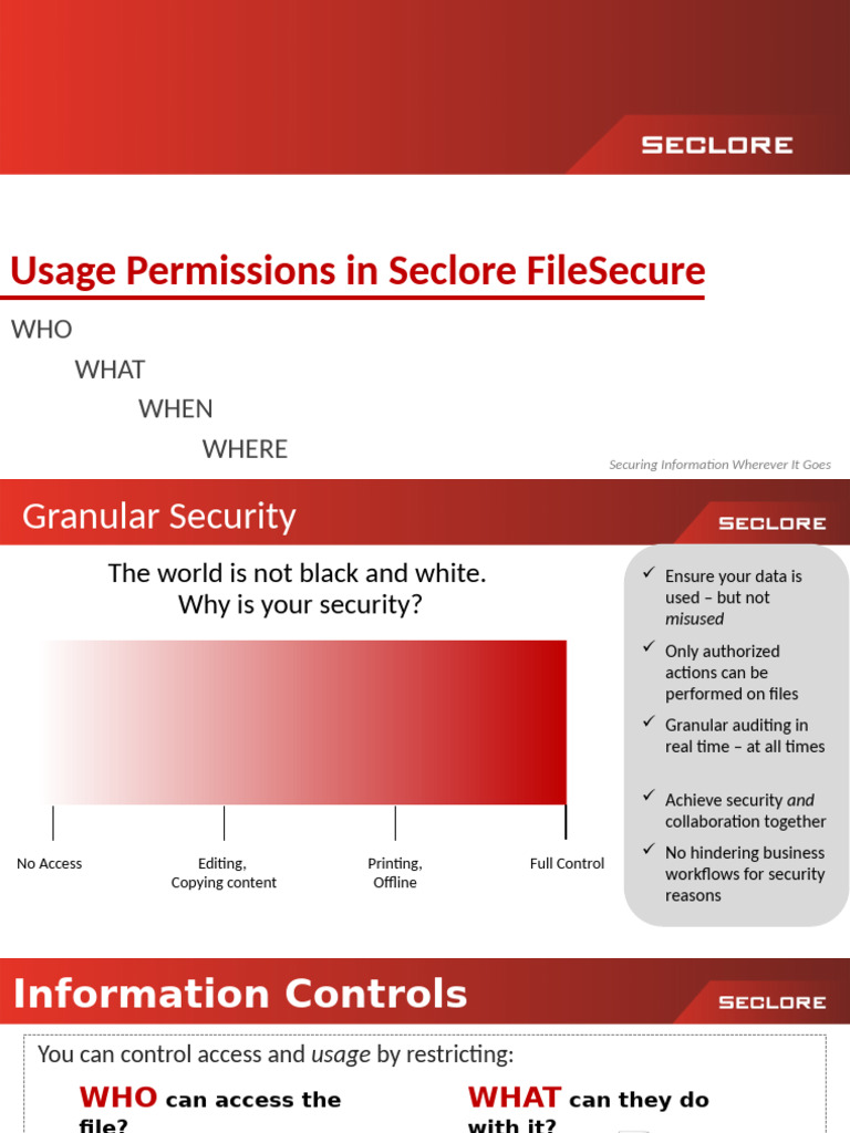 Seclore IG UsagePermissions | PDF | Desktop Virtualization | Computer File