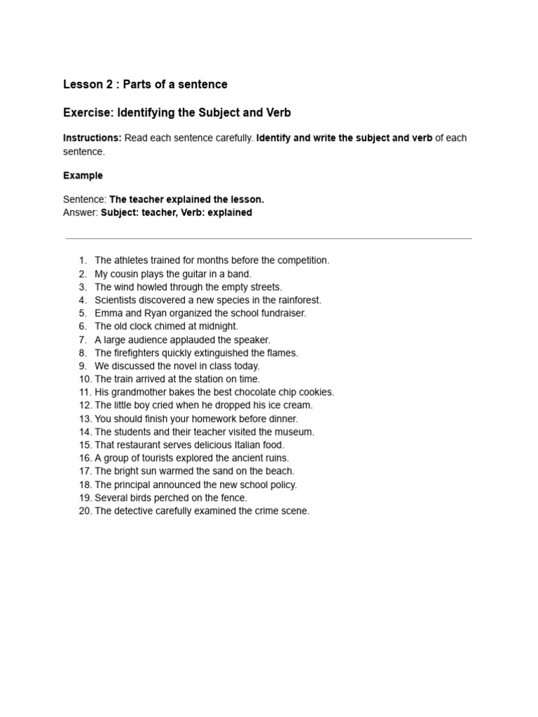 Identify Subjects and Verbs Exercise | PDF