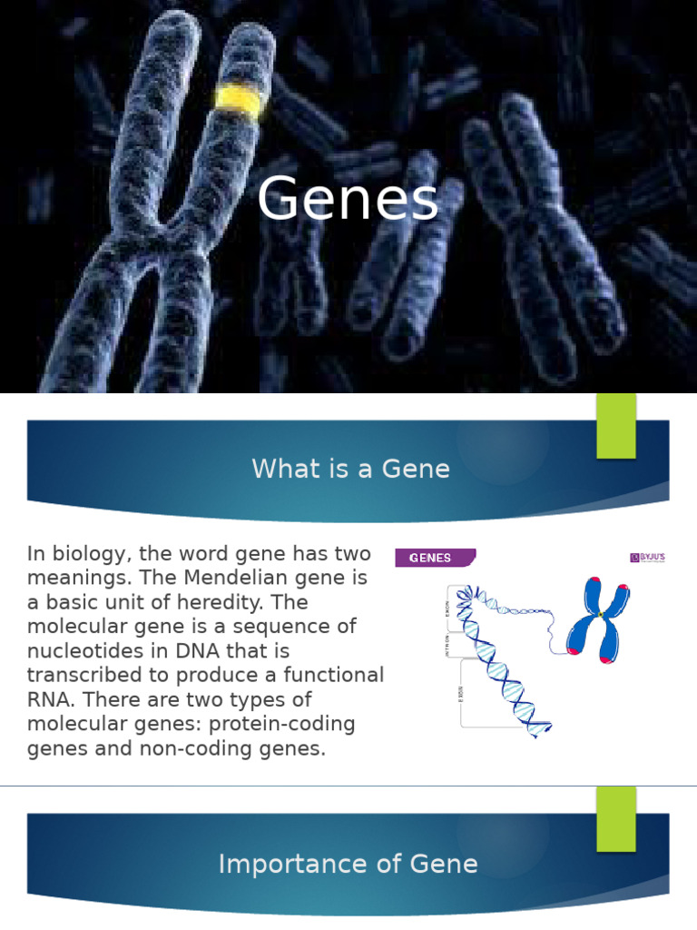 Genes pptx | PDF