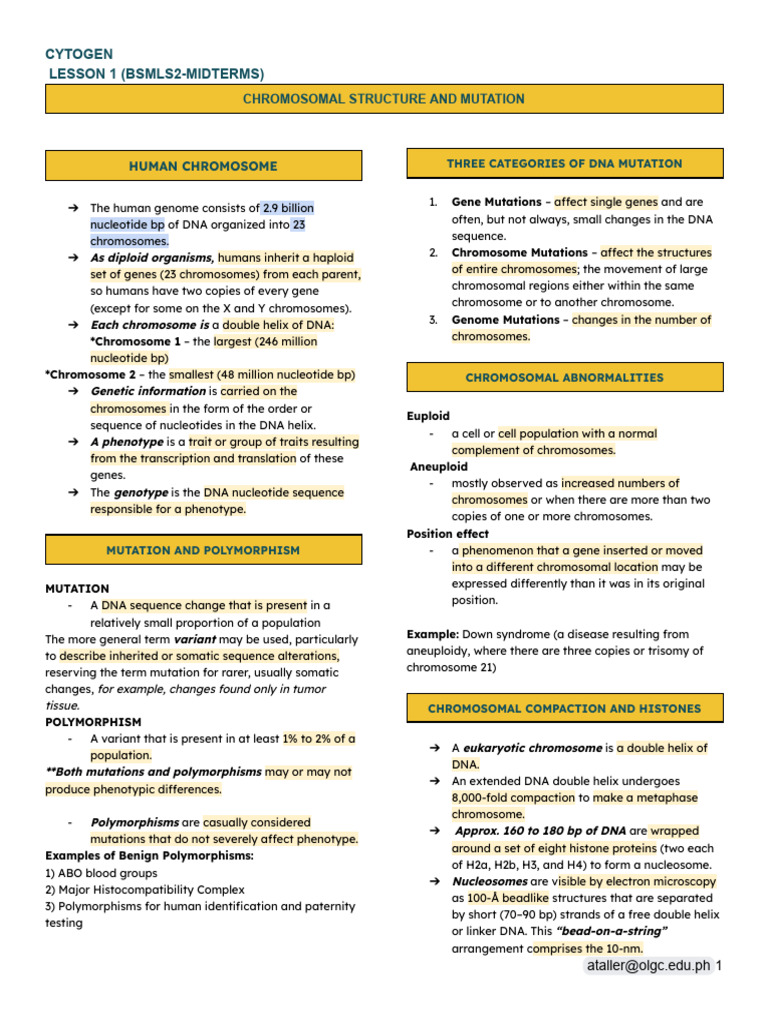 MIDTERM L-1 CYTOGEN | PDF | Chromosome | Karyotype