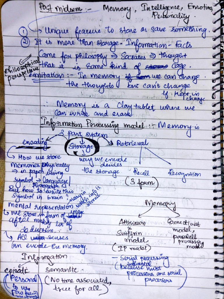 HS128 - Post Midsem | PDF