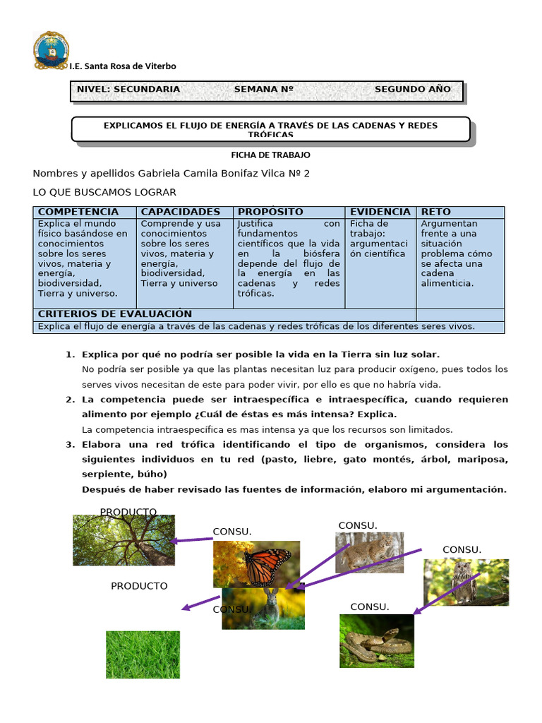 Explicamos El Flujo de Energía A Través de Las Cadenas y Redes Tróficas ...