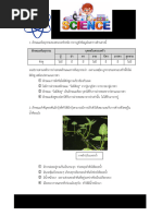 ข้อสอบวิทยาศาสตร์ เทอม 1 ป.3 | PDF