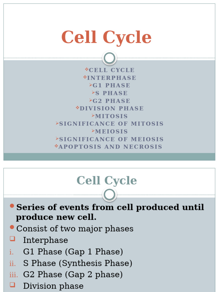 Cell Cycle | PDF | Meiosis | Mitosis