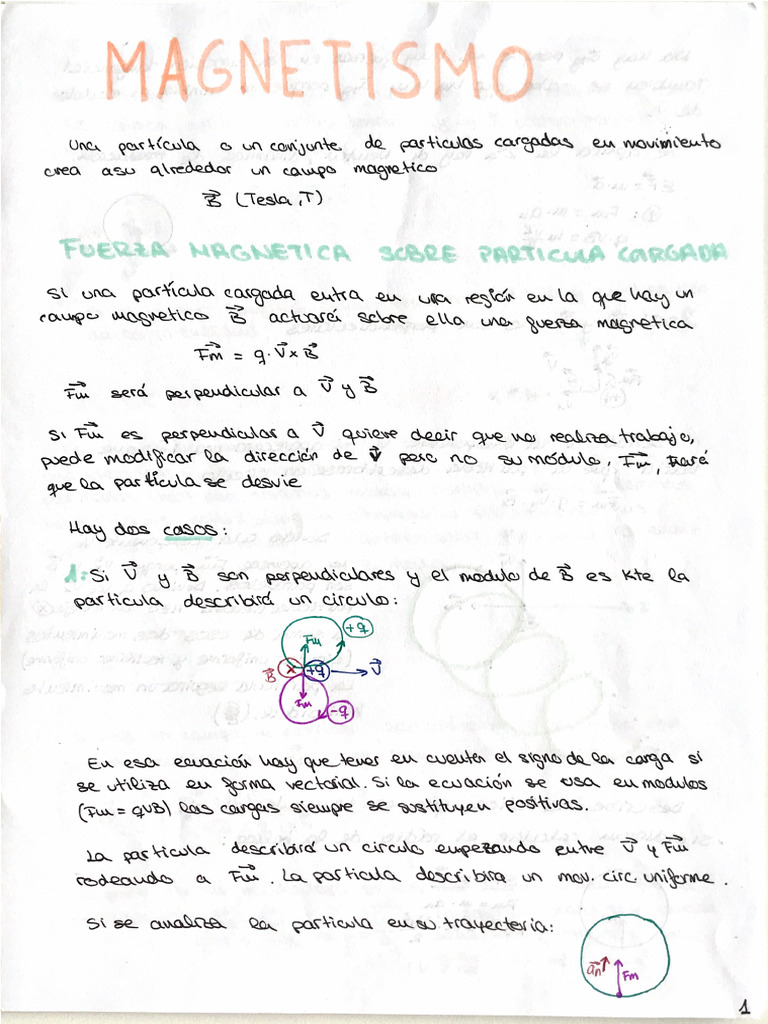 1,2,3 Magnetismo Sa | PDF