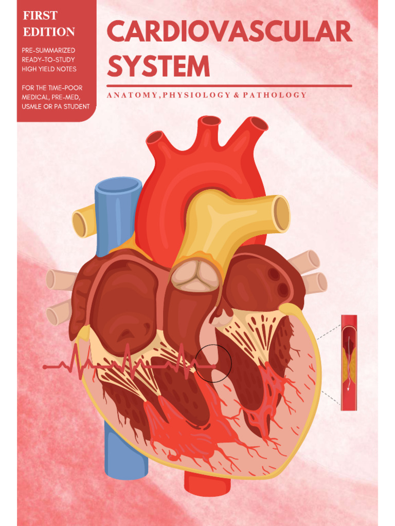 2. CARDIOVASCULAR SYSTEM, ECG, BLODD VESSELS, CO | PDF