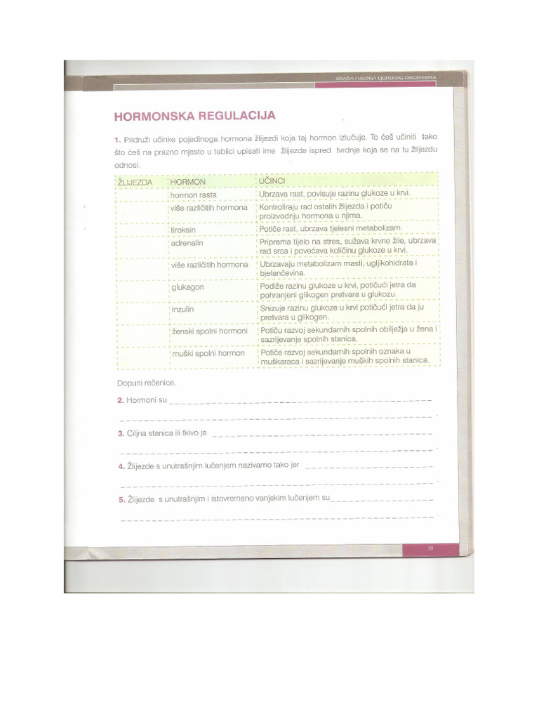 Hormonska regulacija | PDF