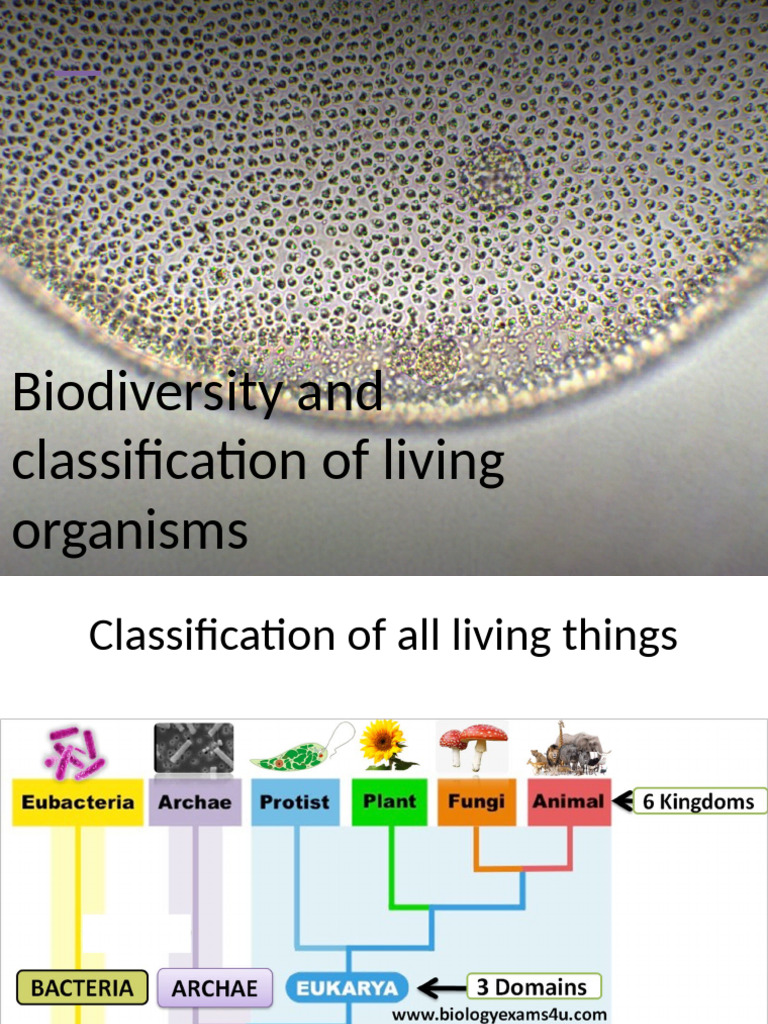 Biodiversity of Organisms Updated 2021 | PDF | Candidiasis | Virus