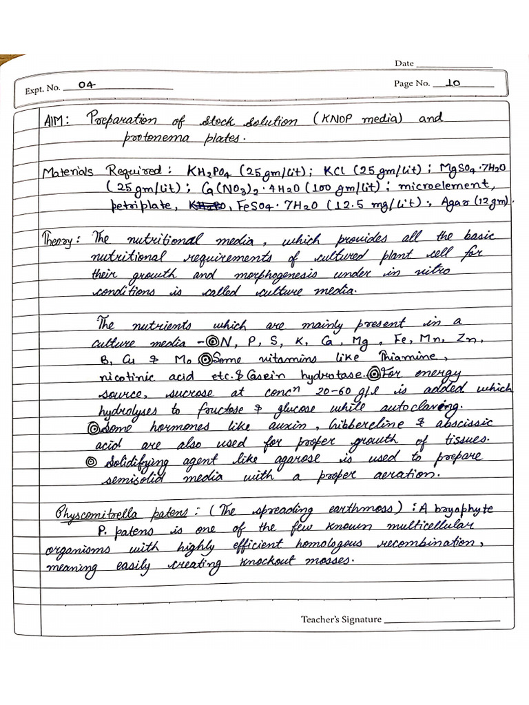 Cell Bio Expt 4 KNOP Media and Protonema | PDF