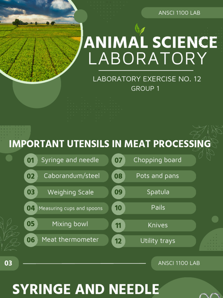 ANSCI1100 LAB - Laboratory Exercise No. 11 & 12 (GROUP1) | PDF | Syringe | Thermometer