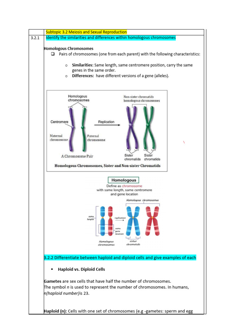 Meiosis: Chromosomes, Gametes, and Sex Determination | PDF | Ploidy ...