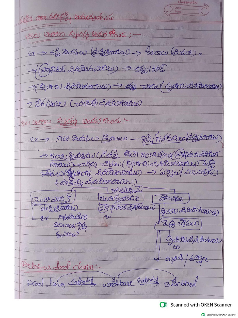 Day 2 S T Notes Pdf