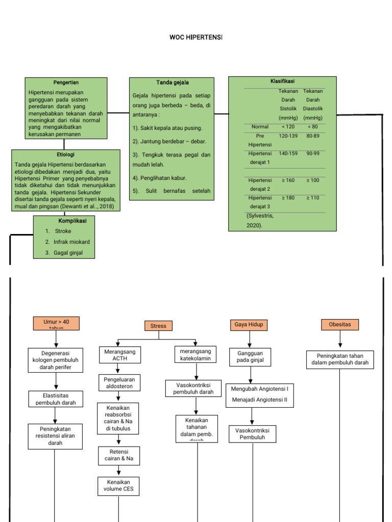 Woc Hipertensi | PDF