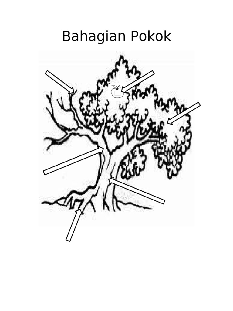 Bahagian Pokok | PDF
