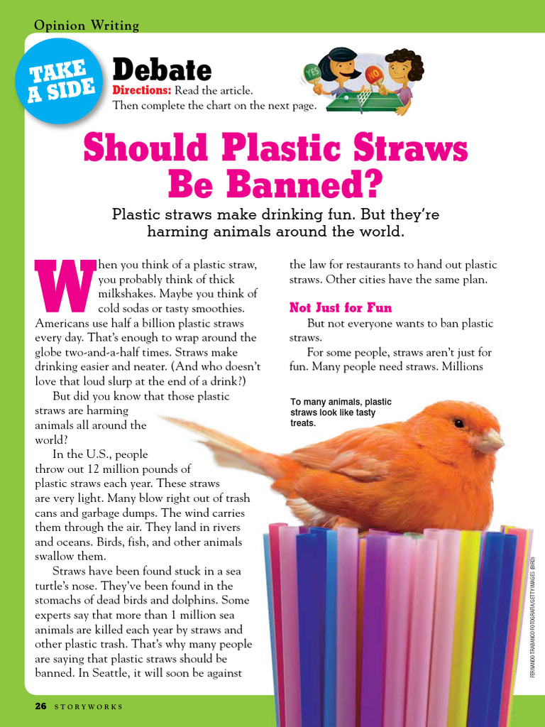 Should Plastic Straws Be Banned | PDF
