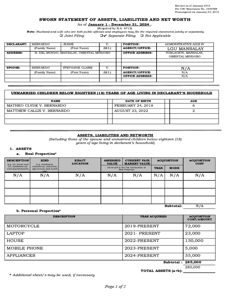 2015 SALN Form 1.Docx | PDF