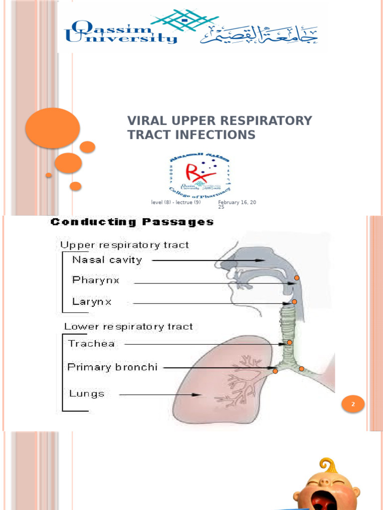 Understanding Viral Upper Respiratory Infections | PDF | Common Cold ...