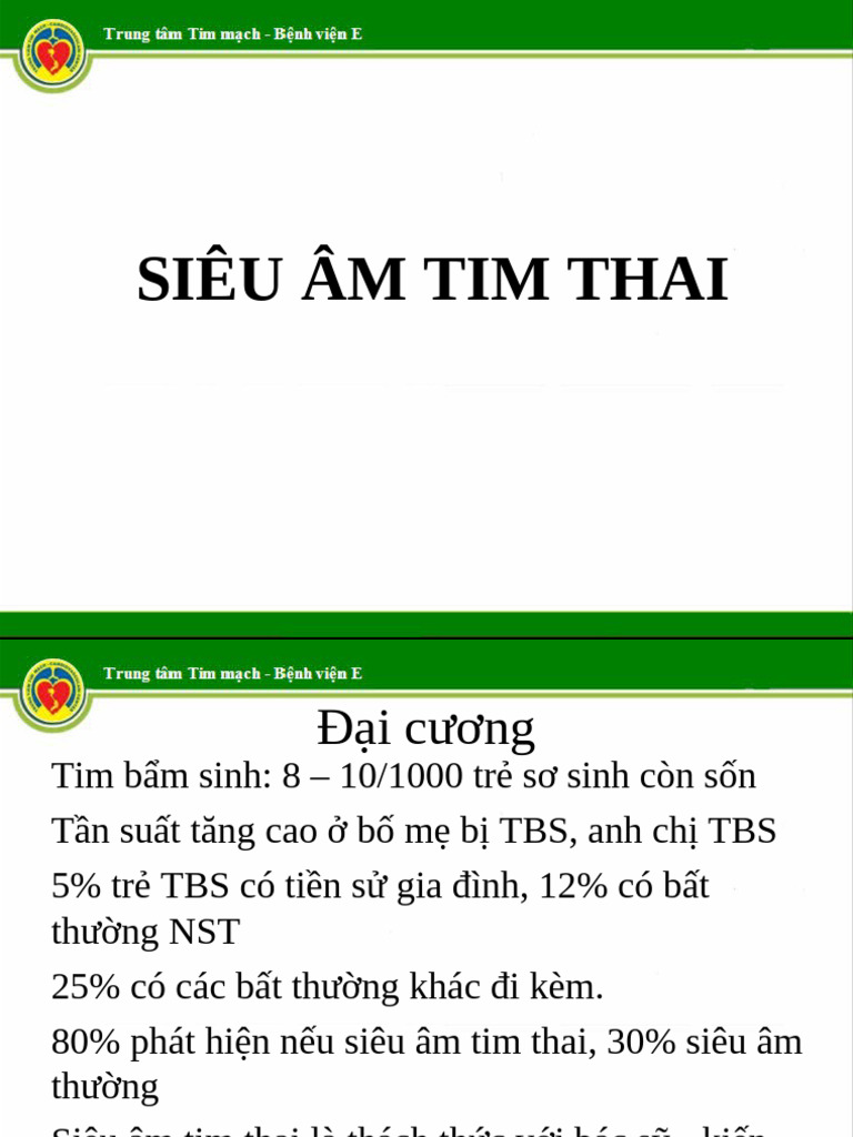 Siã U Ã M Tim Thai | PDF