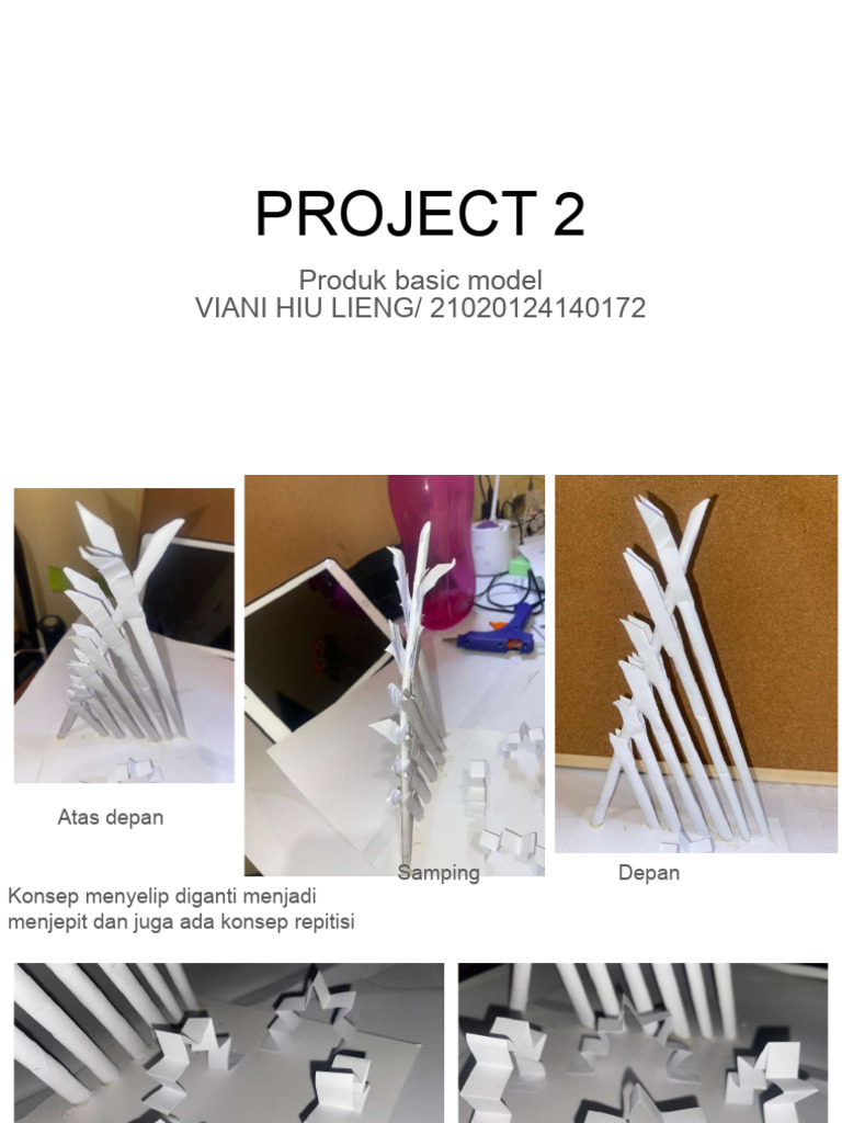 Draf Project2- Viani Hiu Lieng | PDF